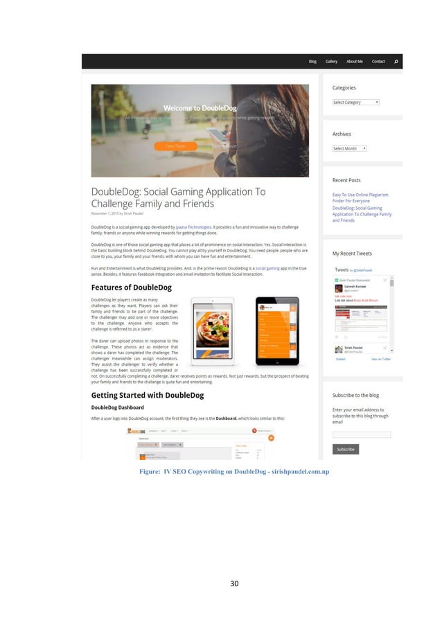 BSC CSIT Final Year Internship Experience Report on SEO | PDF