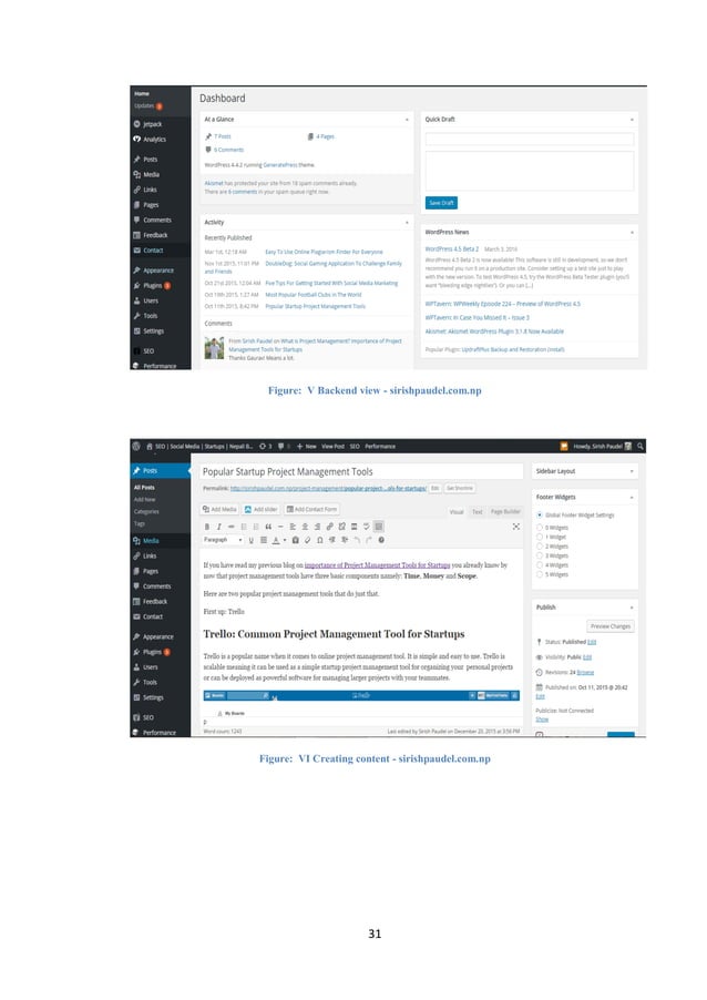BSC CSIT Final Year Internship Experience Report on SEO | PDF
