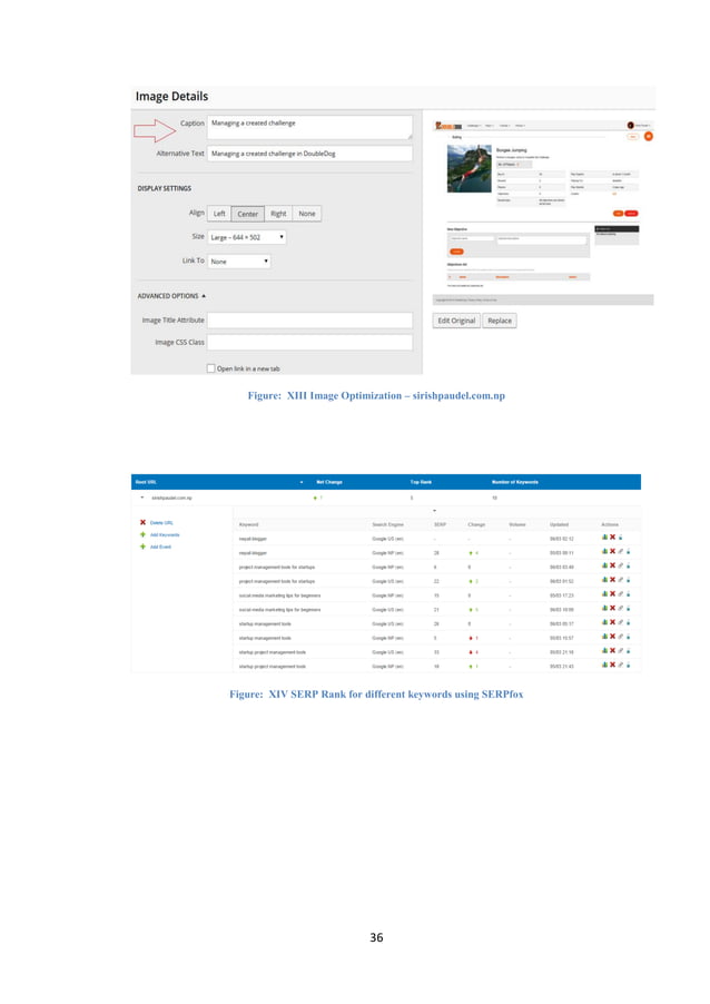 BSC CSIT Final Year Internship Experience Report on SEO | PDF