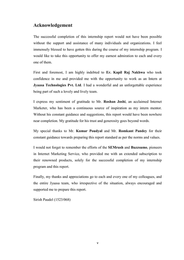 BSC CSIT Final Year Internship Experience Report on SEO | PDF