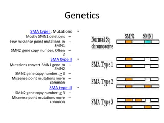 Spinal muscle atrophy SMA: make it easy | PPTX