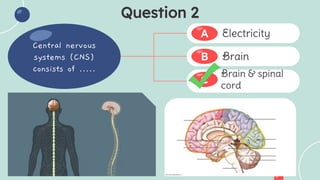 Structure and function of nervous system.pptx