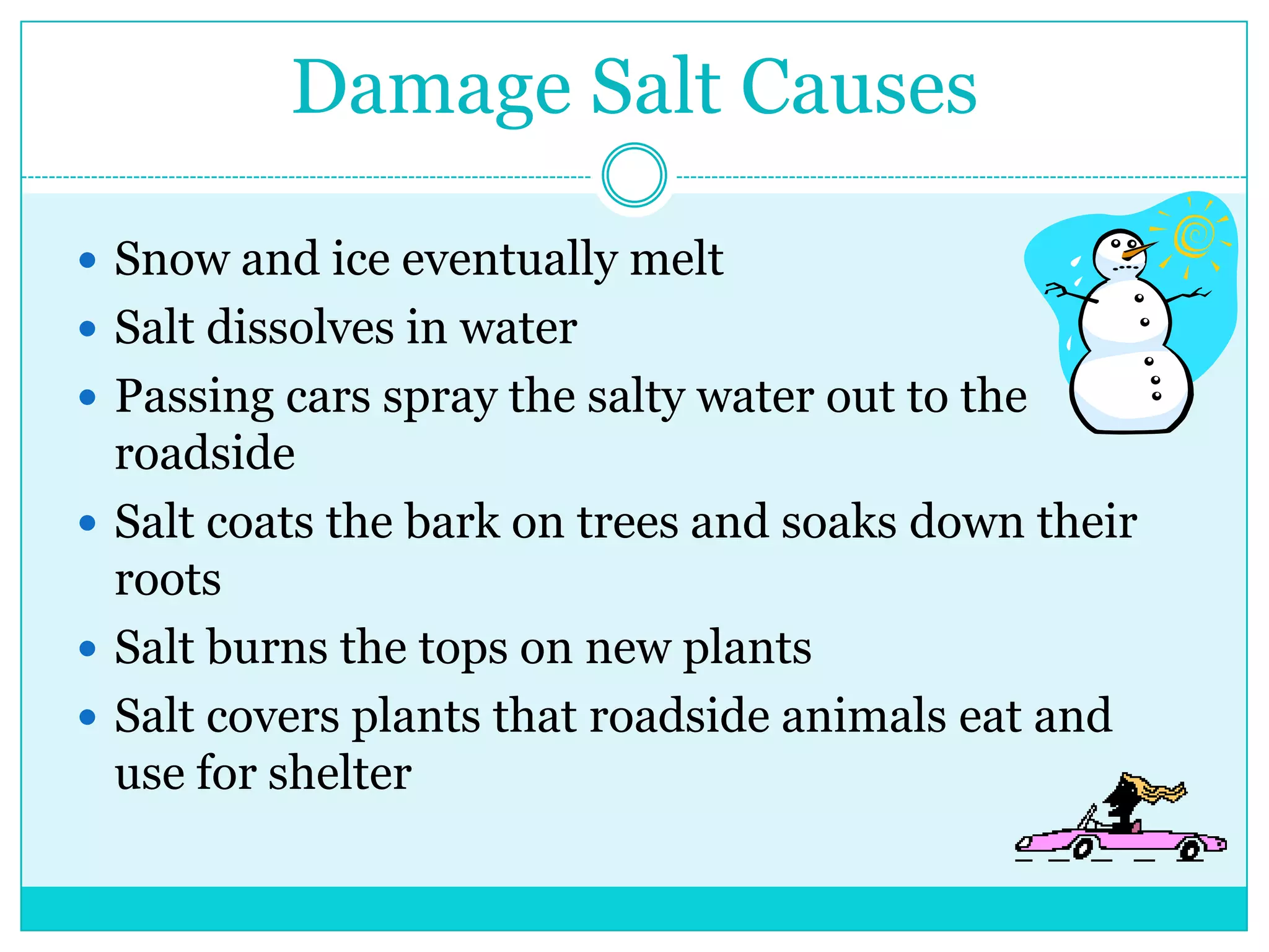 Road Salt Presentation | PPTX