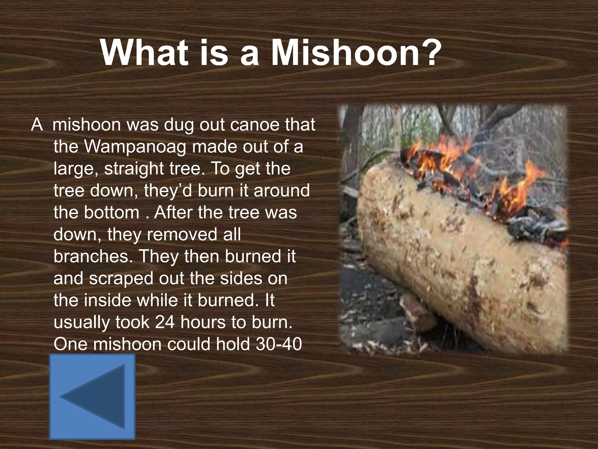 Indian/Pilgrim Project | PPTX