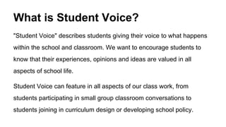 Student voice | PDF