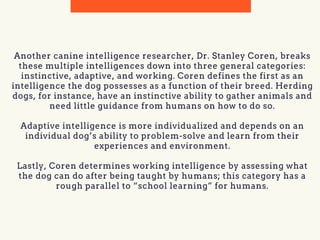 Studies on Dog Intelligence | PPT
