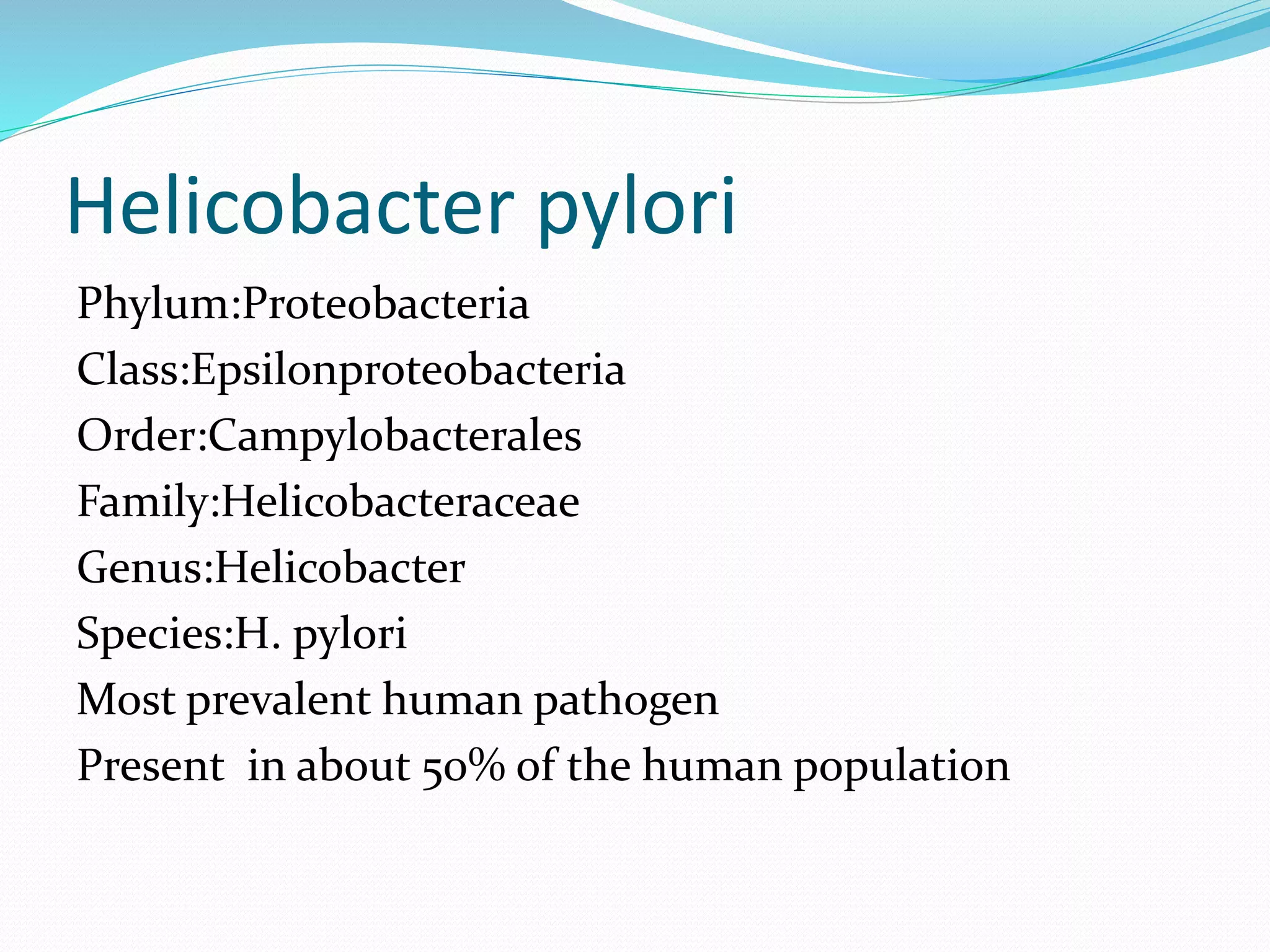 HELICOBACTER PYLORI | PPTX