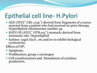 HELICOBACTER PYLORI | PPTX