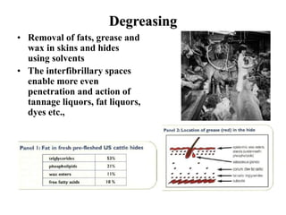 Studies on solvent degreasing of skins in tanneries | PPT