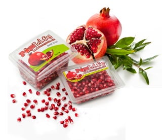 Studio Rosinger Work Samples | PDF