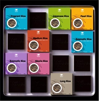 Studio Rosinger Work Samples | PDF