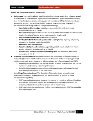 Study-notes_Inflammation-and-repair.pdf by handwritten hi | PDF