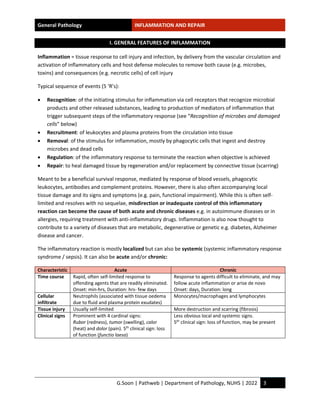 Study-notes_Inflammation-and-repair.pdf by handwritten hi | PDF