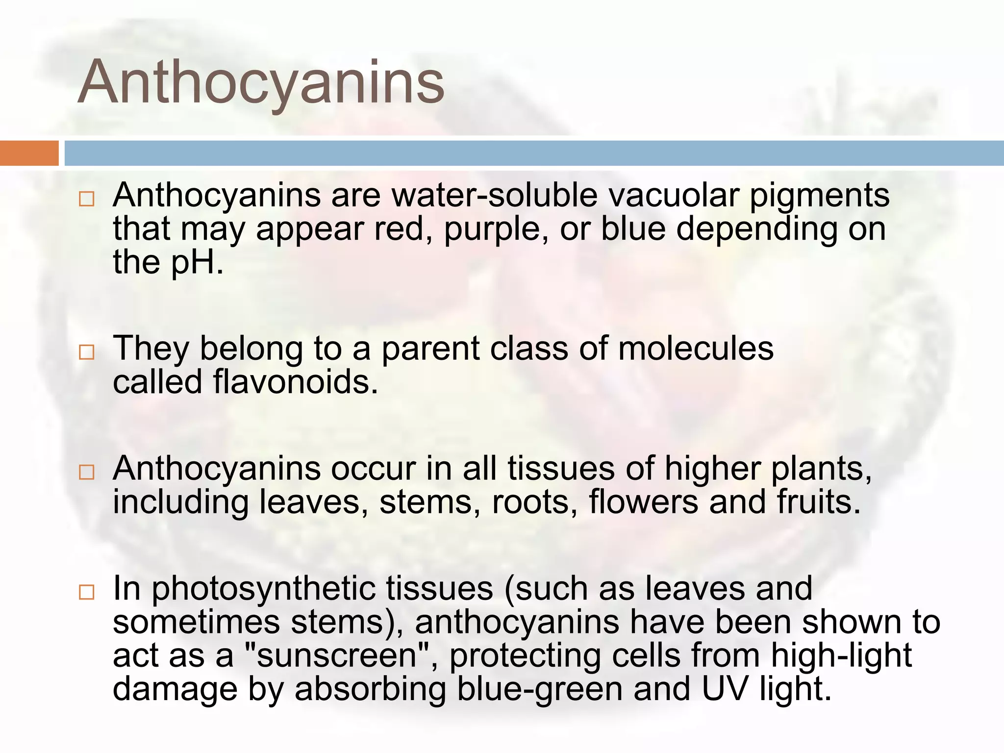 study of antioxidants | PPTX
