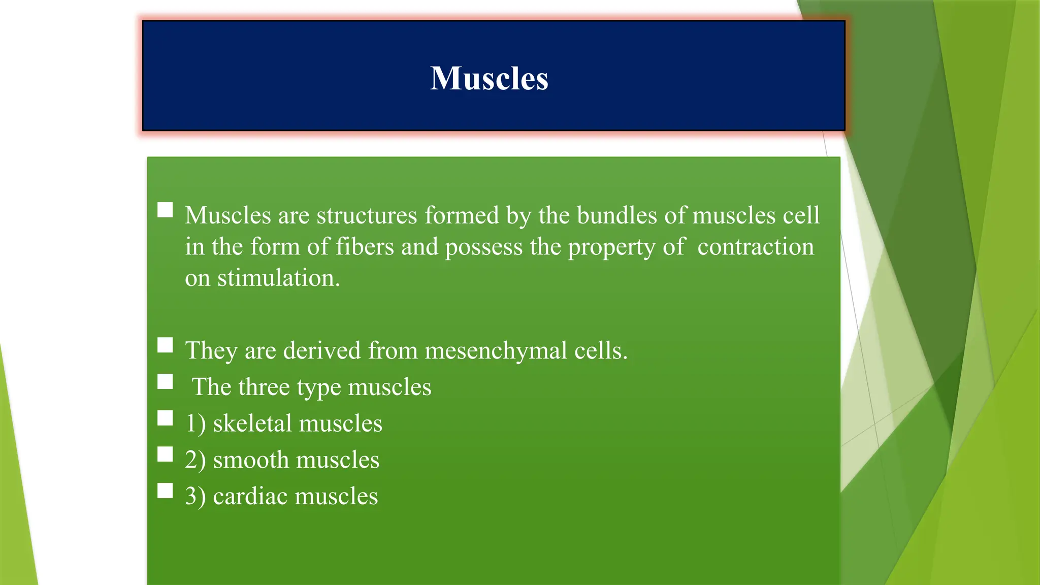 Study-of-muscles-blood-supply-of-forelimb-in-ox (1).pptx