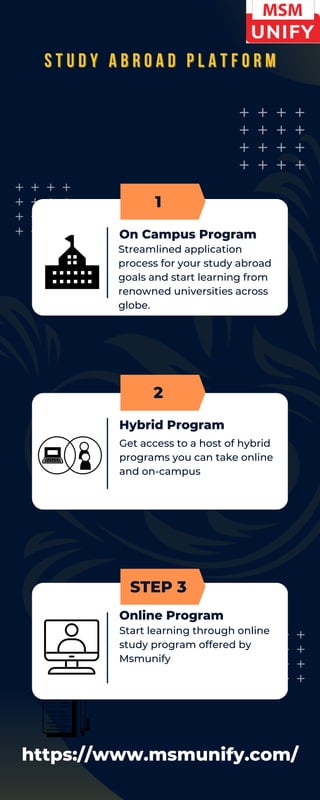 study abroad platform.pdf