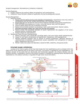Study Guide 5 Assessment and Management of Patients with Endocrine ...