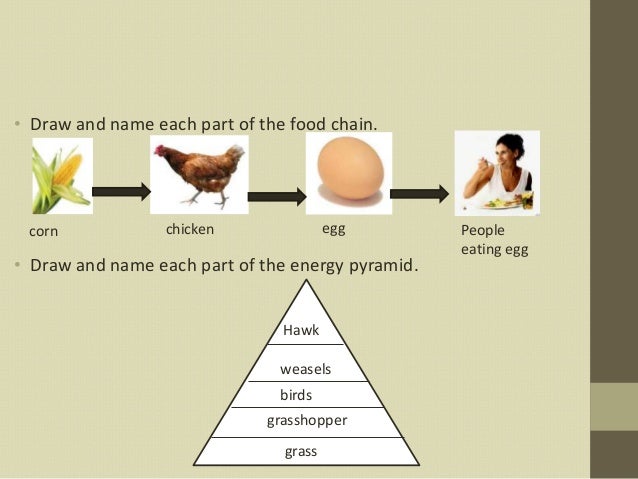 Study guide for test ch 5 science
