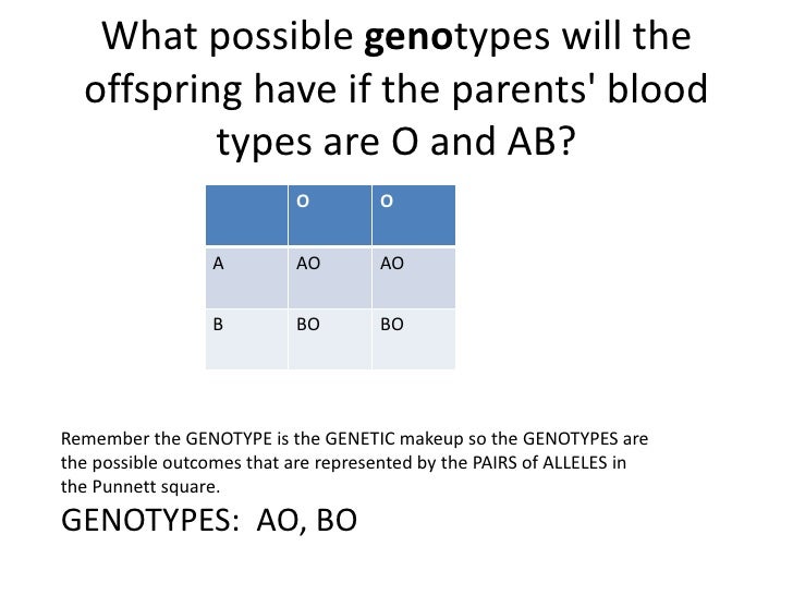 Study guide genetics