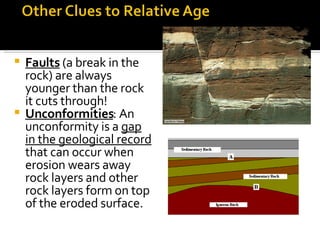 Studying Fossils | PPT | Geology | Science