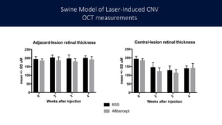 Studying Retinal Function in Large Animals: Laser-Induced Choroidal ...