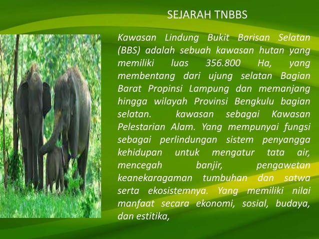 Study kasus ppt | PPTX