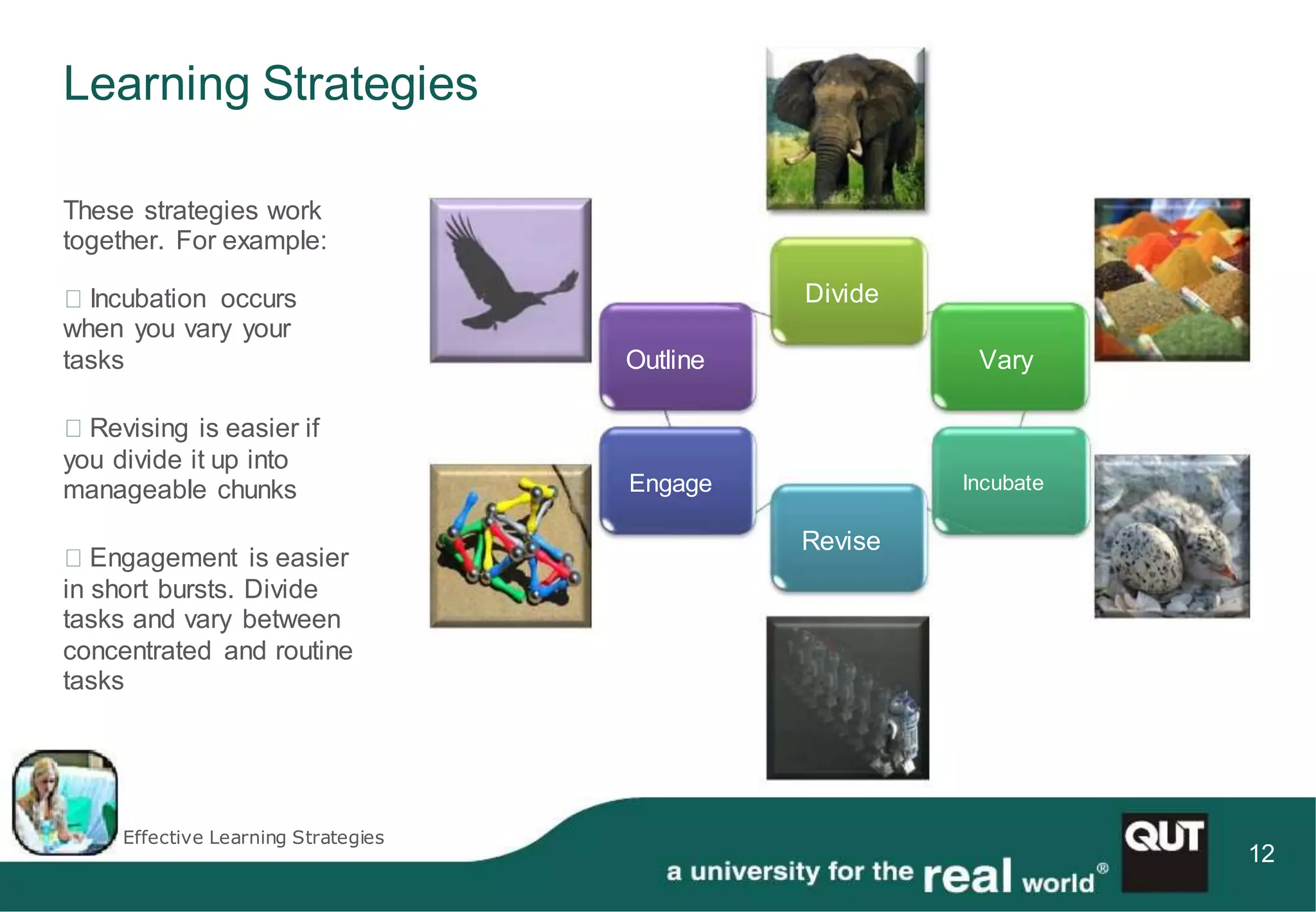 Studymanagement effective learningstrategies | DOC