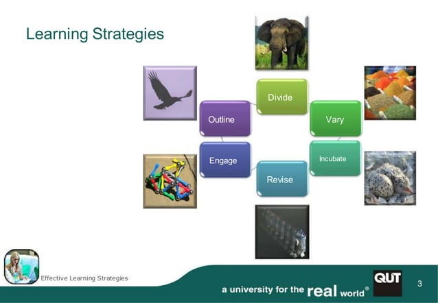 Studymanagement effective learningstrategies | PPT