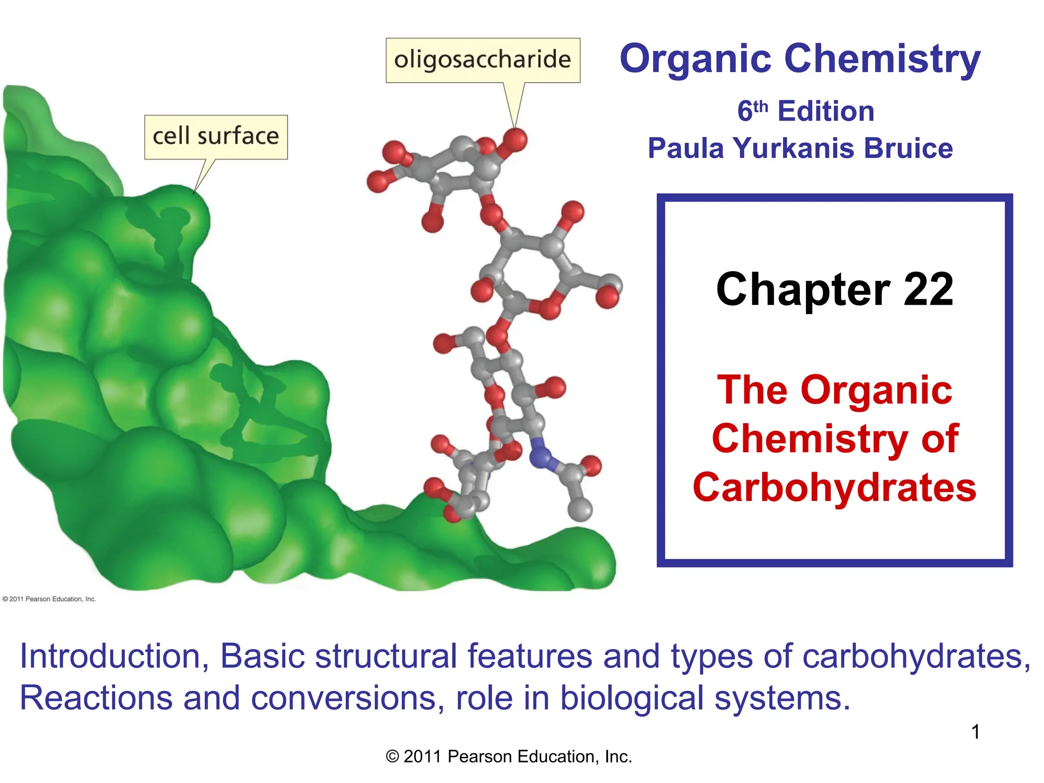 Study Material [8]-Carbohydrates PPT.ppt