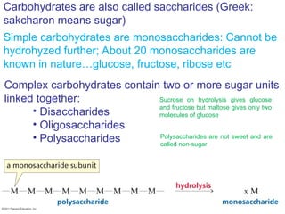 Study Material [8]-Carbohydrates PPT.ppt