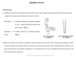 Study material- Fibres | PPT