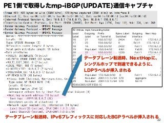 Technical report for IPv6 Routing w/ bgp4+ (part2) | PPT