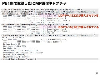Technical report for IPv6 Routing w/ bgp4+ (part2) | PPT