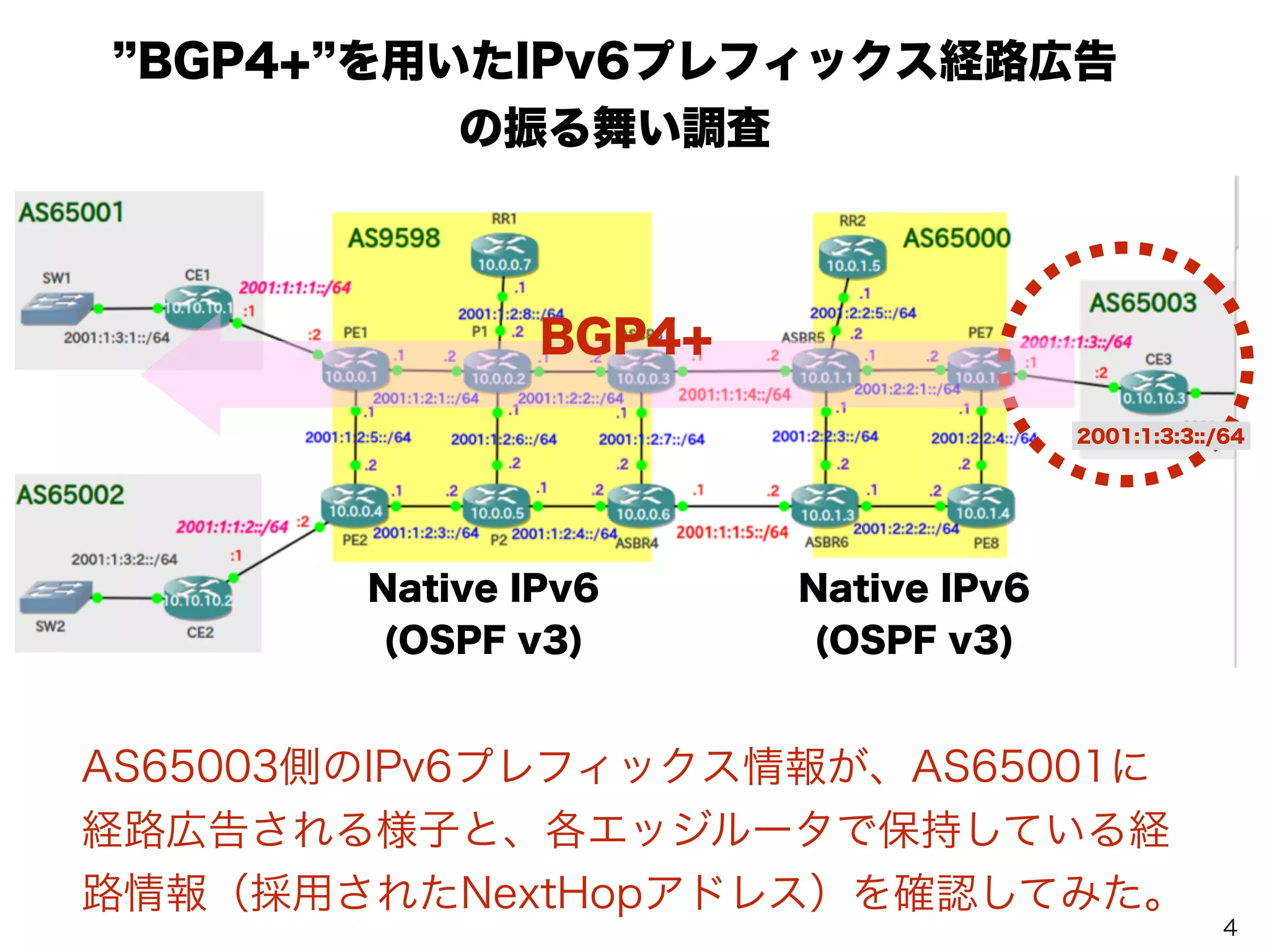 Technical report for IPv6 Routing w/ bgp4+