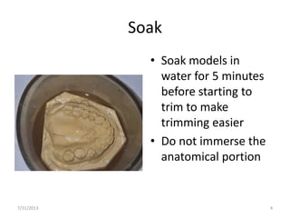 Study models 101 preparation | PPTX