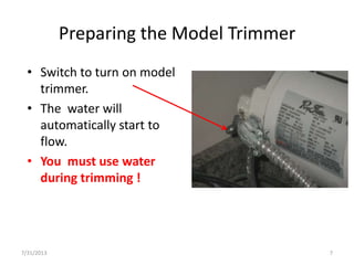Study models 101 preparation | PPTX