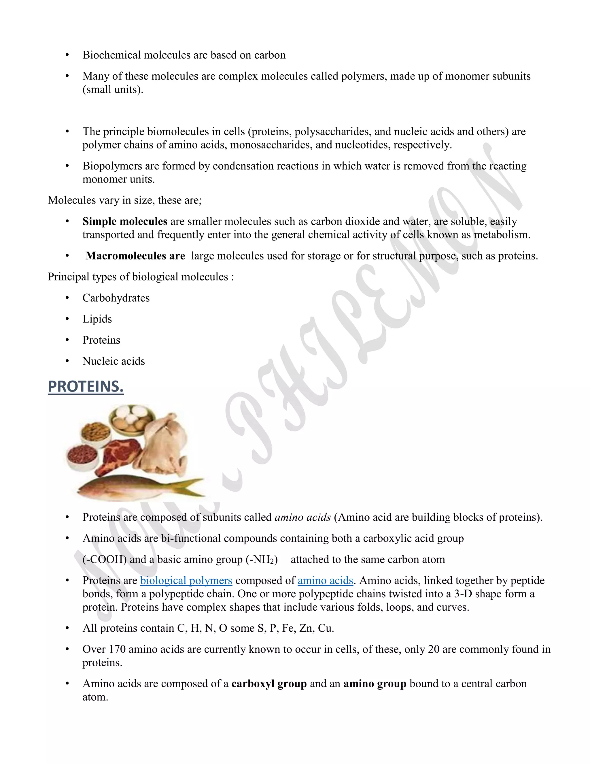 BIOCHEMISTRY NOTES By Noah Philemon | PDF
