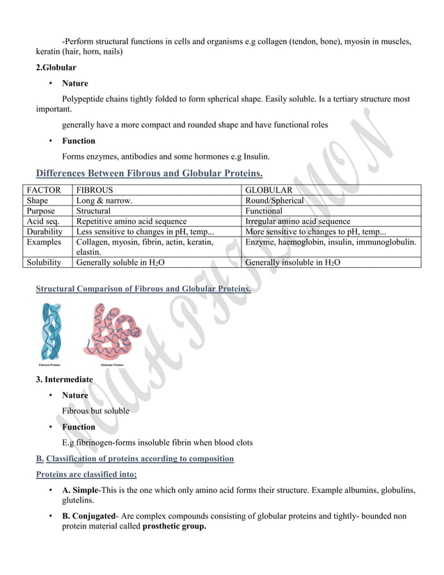 BIOCHEMISTRY NOTES By Noah Philemon | PDF
