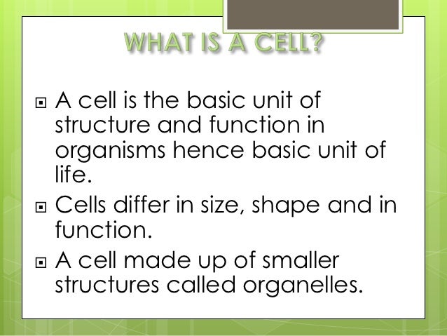 Study of a cell