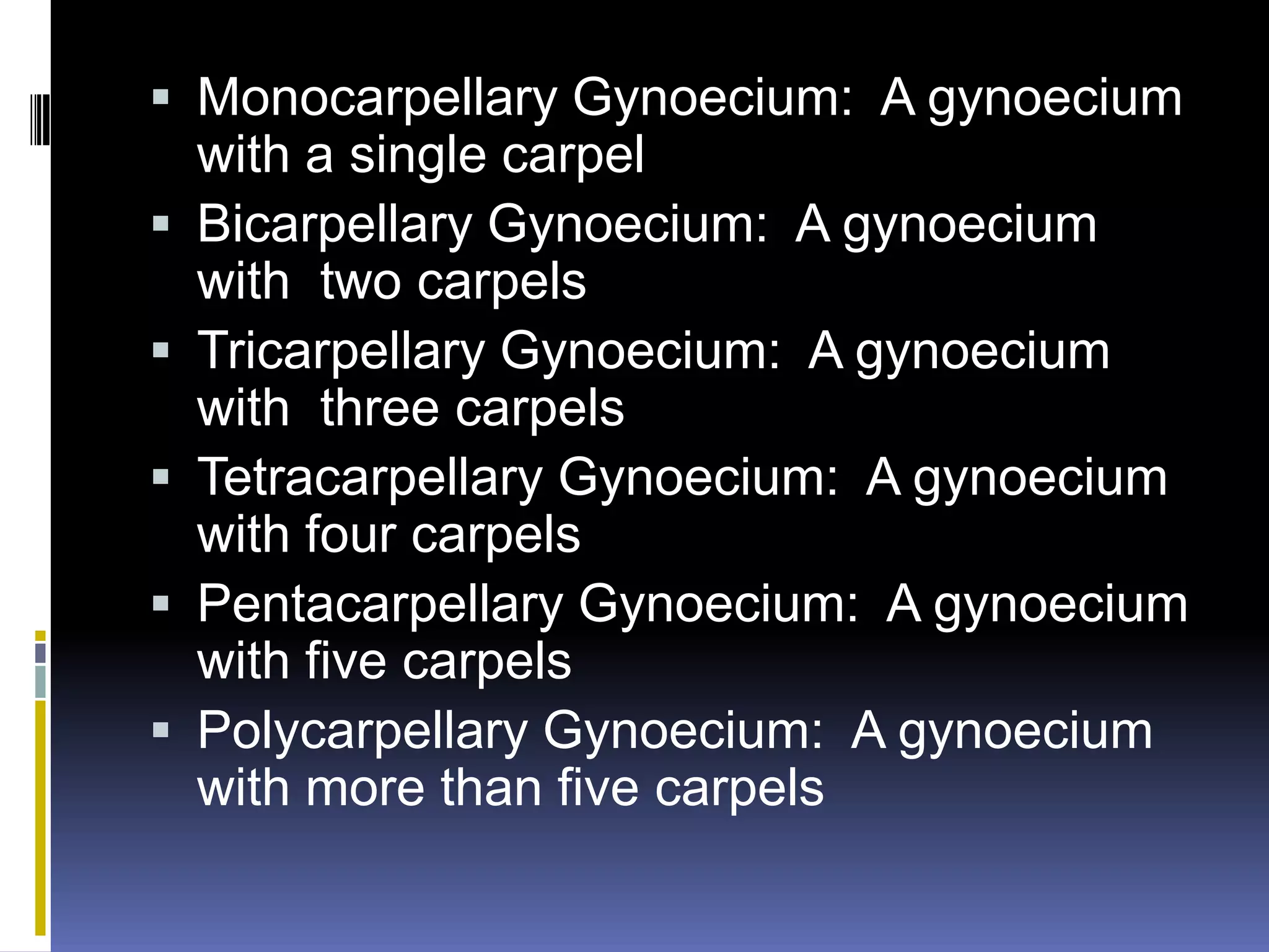 Study of angiosperm flower | PPTX