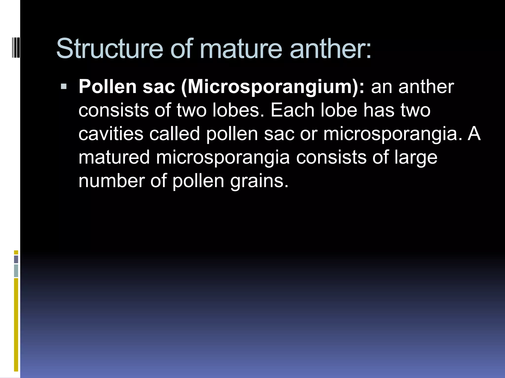 Study of angiosperm flower | PPTX