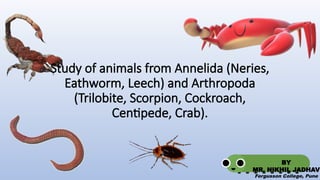 Study of animals from Annelida (Neries, Eathworm, Leech) and Arthropoda ...