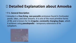 Study of animals from Protozoa, (Amoeba, Paramecium, Euglena) and ...