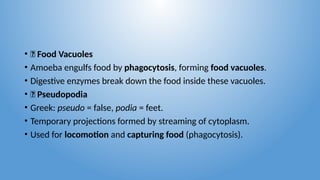 Study of animals from Protozoa, (Amoeba, Paramecium, Euglena) and ...
