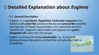 Study of animals from Protozoa, (Amoeba, Paramecium, Euglena) and ...