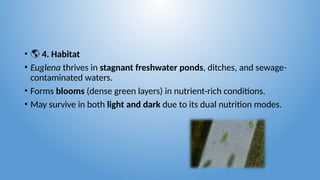 Study of animals from Protozoa, (Amoeba, Paramecium, Euglena) and ...