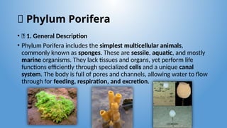 Study of animals from Protozoa, (Amoeba, Paramecium, Euglena) and ...