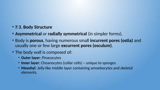 Study of animals from Protozoa, (Amoeba, Paramecium, Euglena) and ...