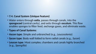 Study of animals from Protozoa, (Amoeba, Paramecium, Euglena) and ...