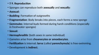Study of animals from Protozoa, (Amoeba, Paramecium, Euglena) and ...